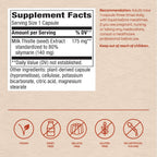 milk thistle capsules for daily use