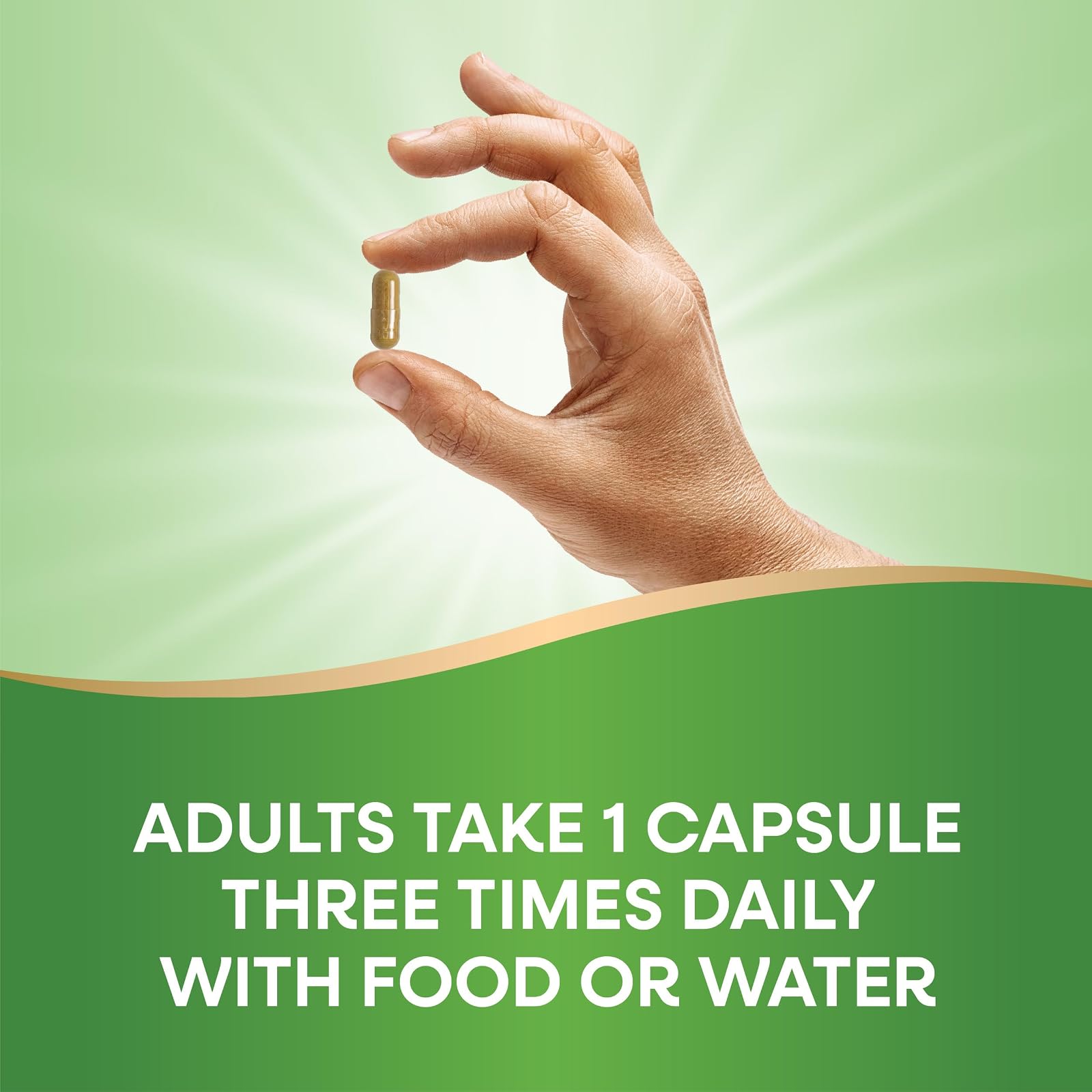 milk thistle capsules for daily use