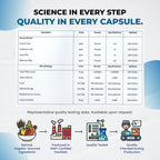 milk thistle capsules for daily use