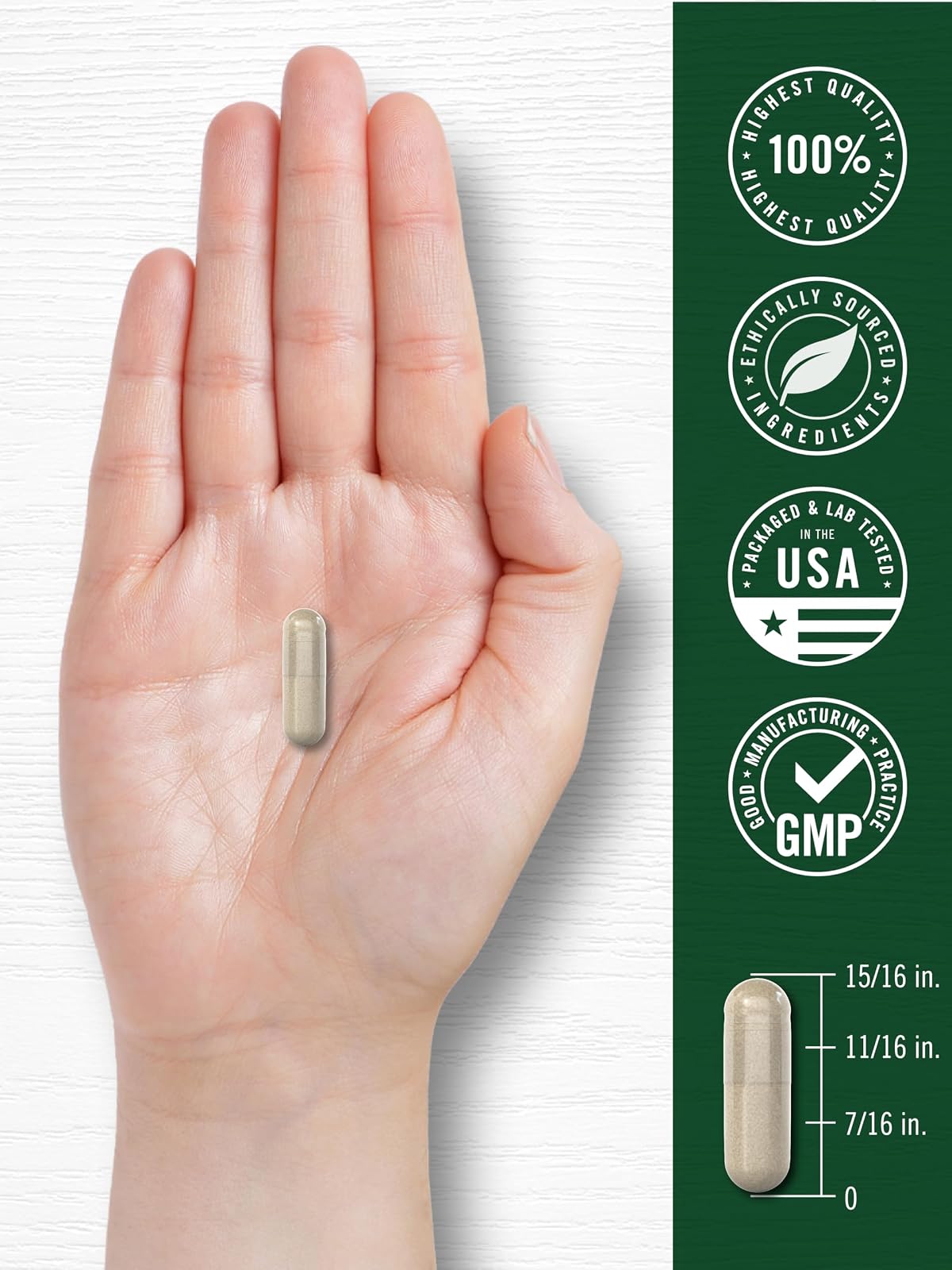 Milk thistle capsules for daily wellness