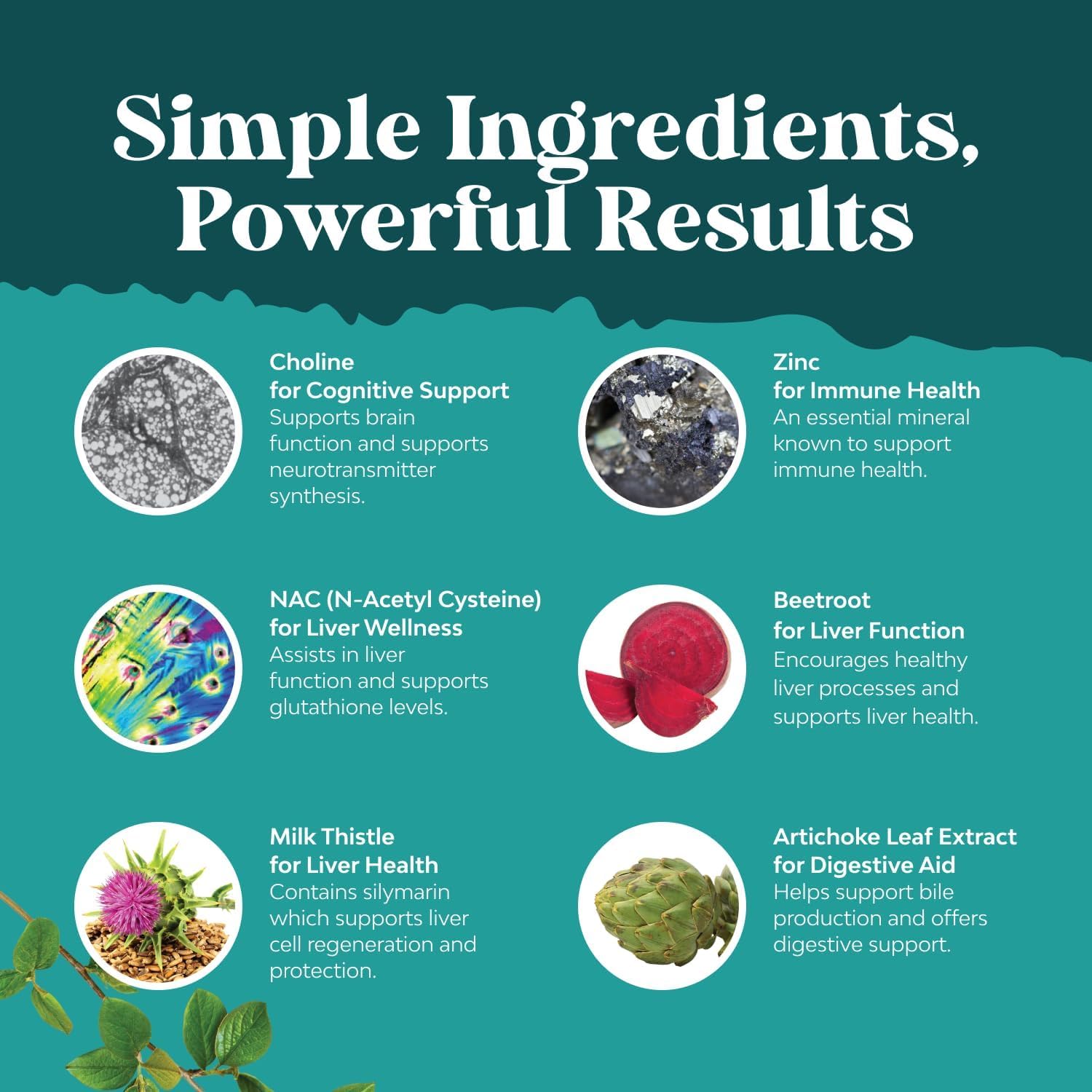 milk thistle capsules for detox