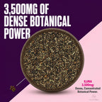 milk thistle capsules for digestive health