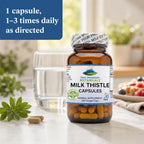 milk thistle capsules for everyday use