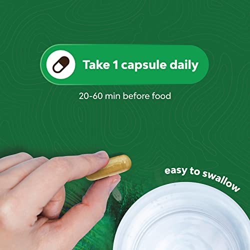 milk thistle capsules for overall health