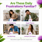 Milk Thistle capsules for overall wellness