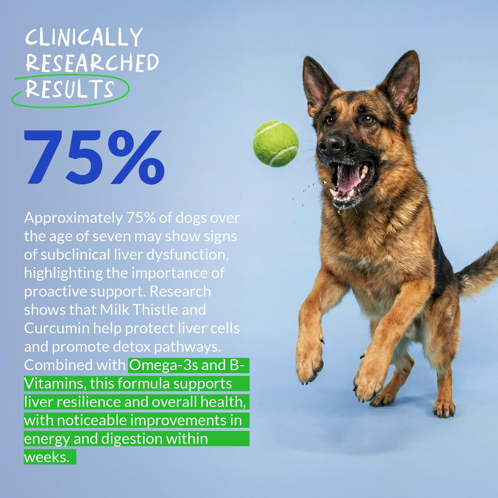Milk thistle chews for pet wellness