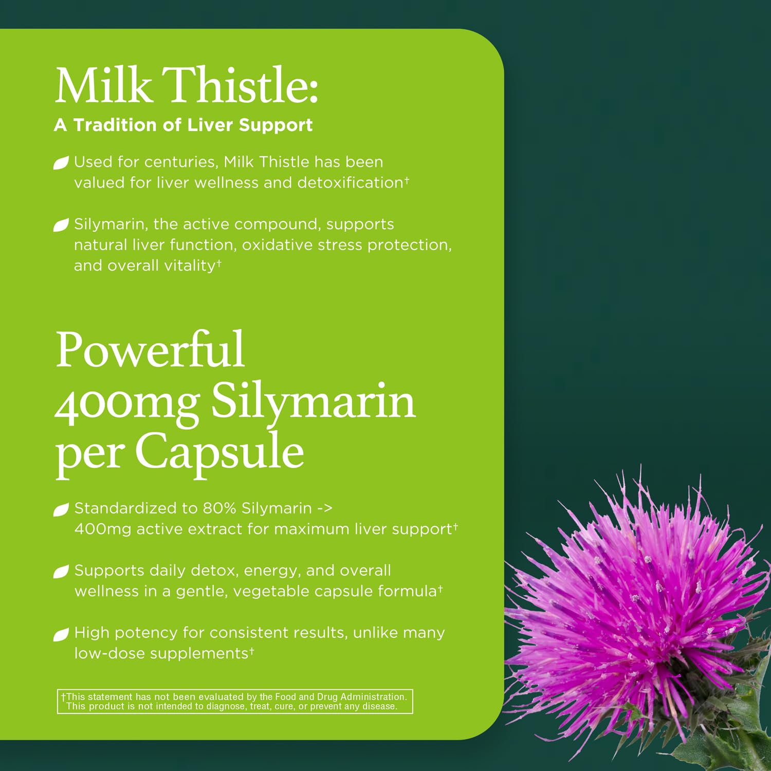 milk thistle detox for liver health