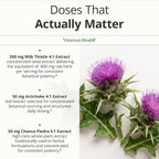 milk thistle detox for wellness