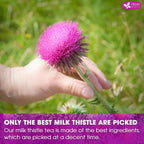 milk thistle detox tea blend
