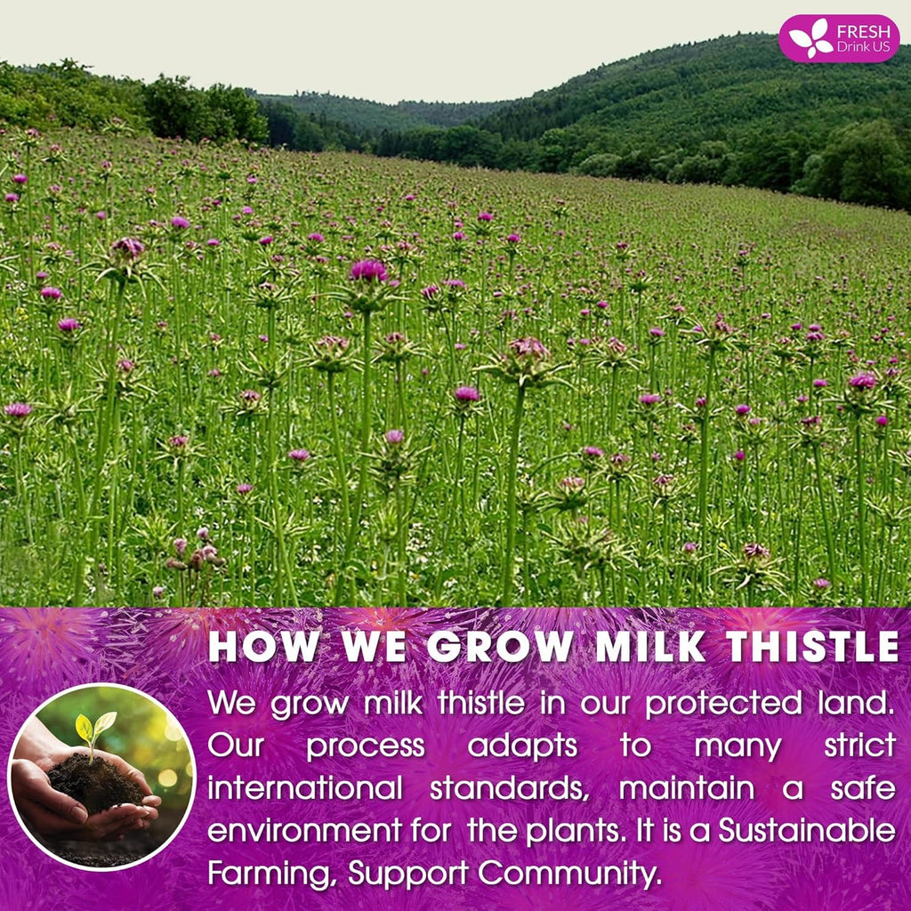 milk thistle detox tea