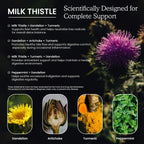 milk thistle drops for digestion