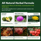 Milk Thistle extract benefits