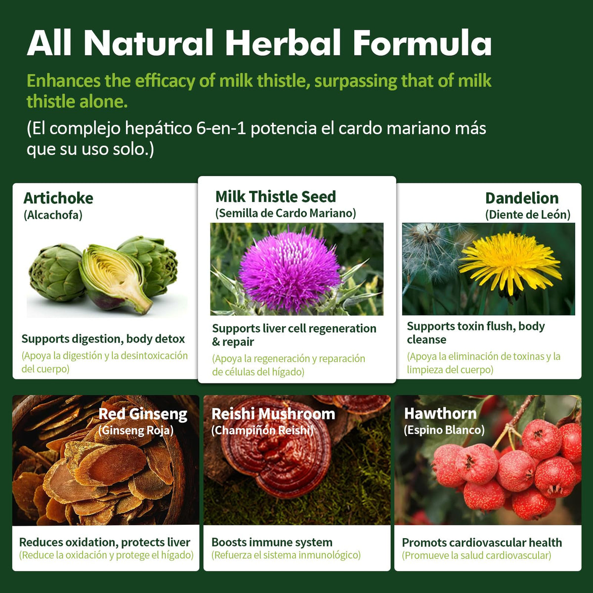 Milk Thistle extract benefits