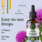 milk thistle extract for antioxidant protection