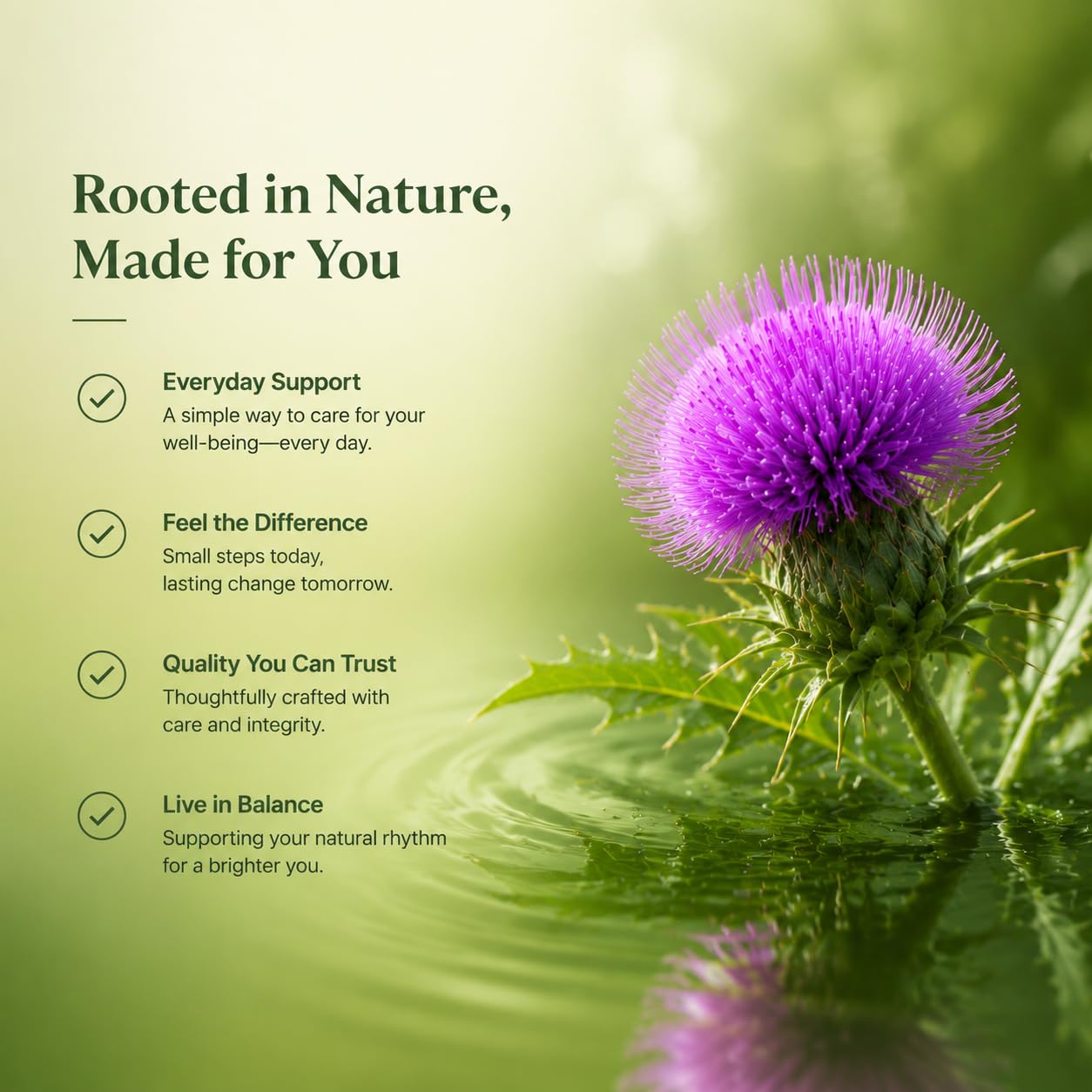 Milk Thistle extract for digestive aid
