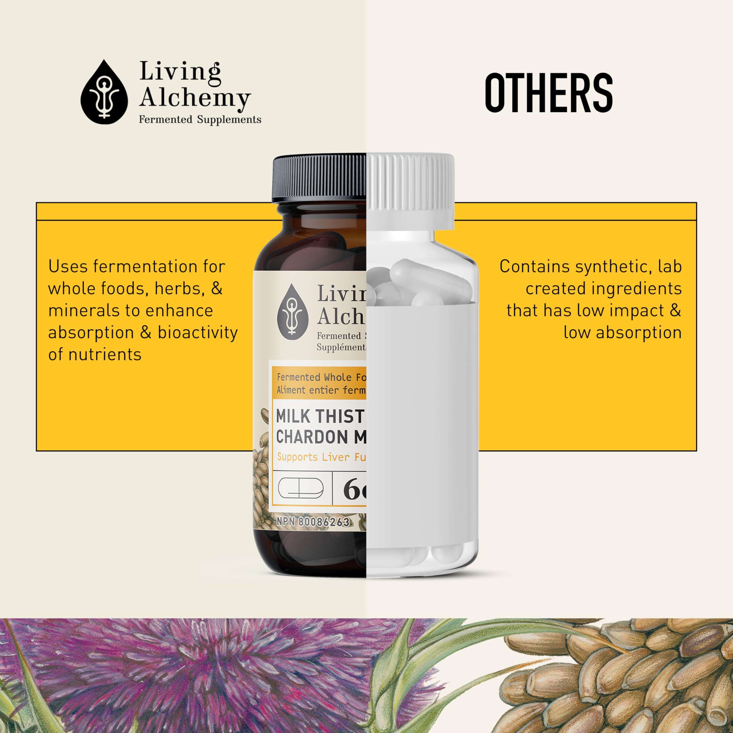 milk thistle extract for fatty liver support
