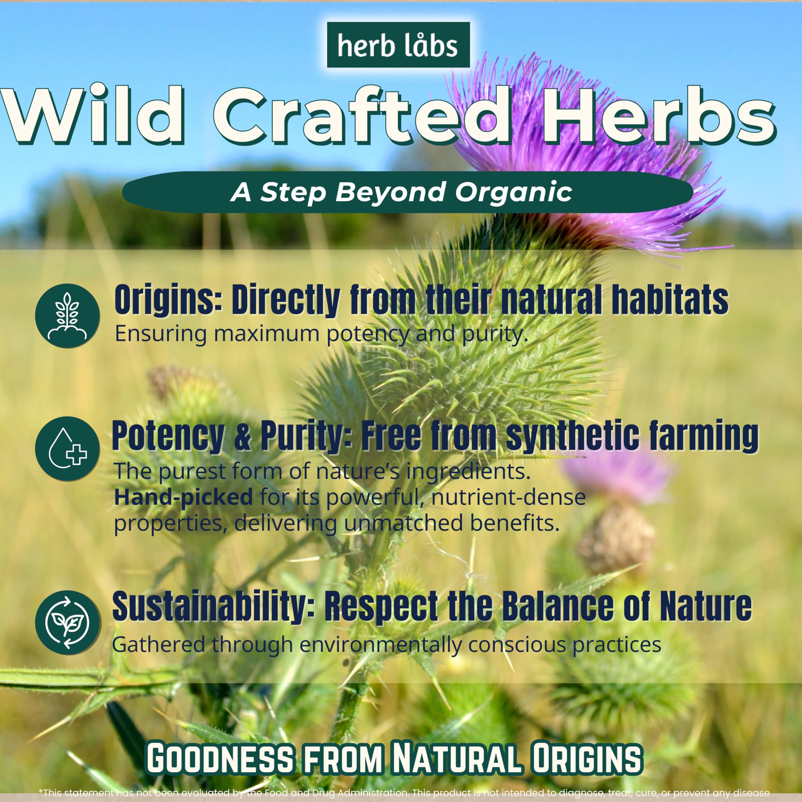 milk thistle extract for liver detox