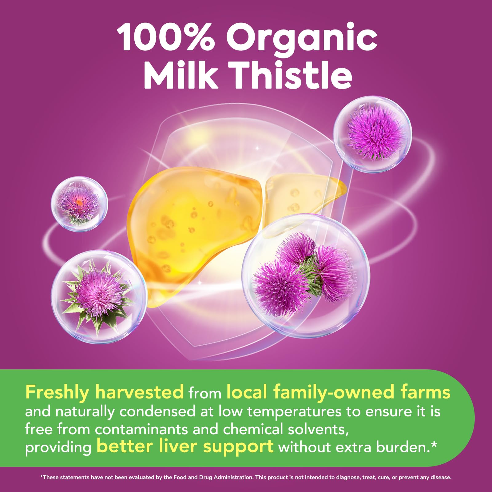 milk thistle extract with 80% silymarin