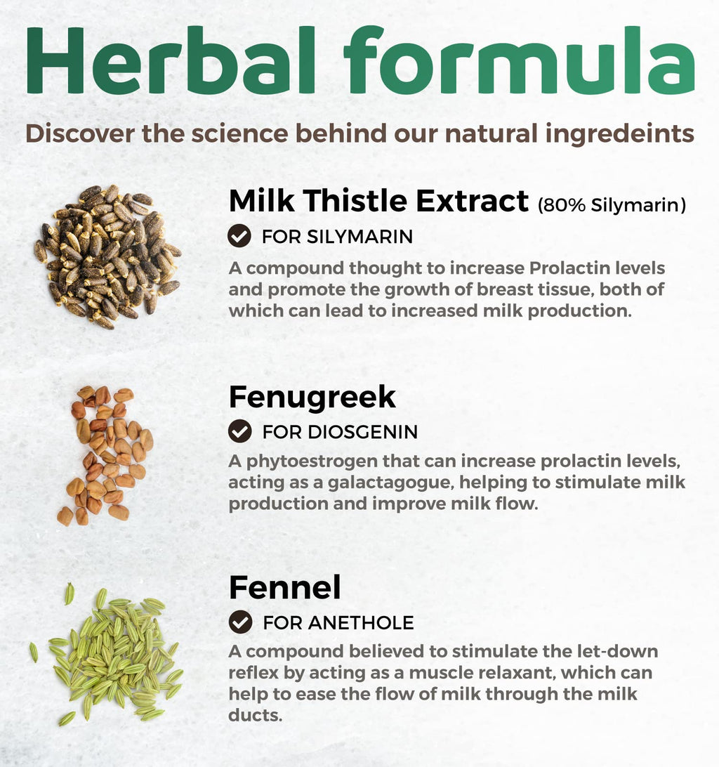 milk thistle for breastfeeding mothers