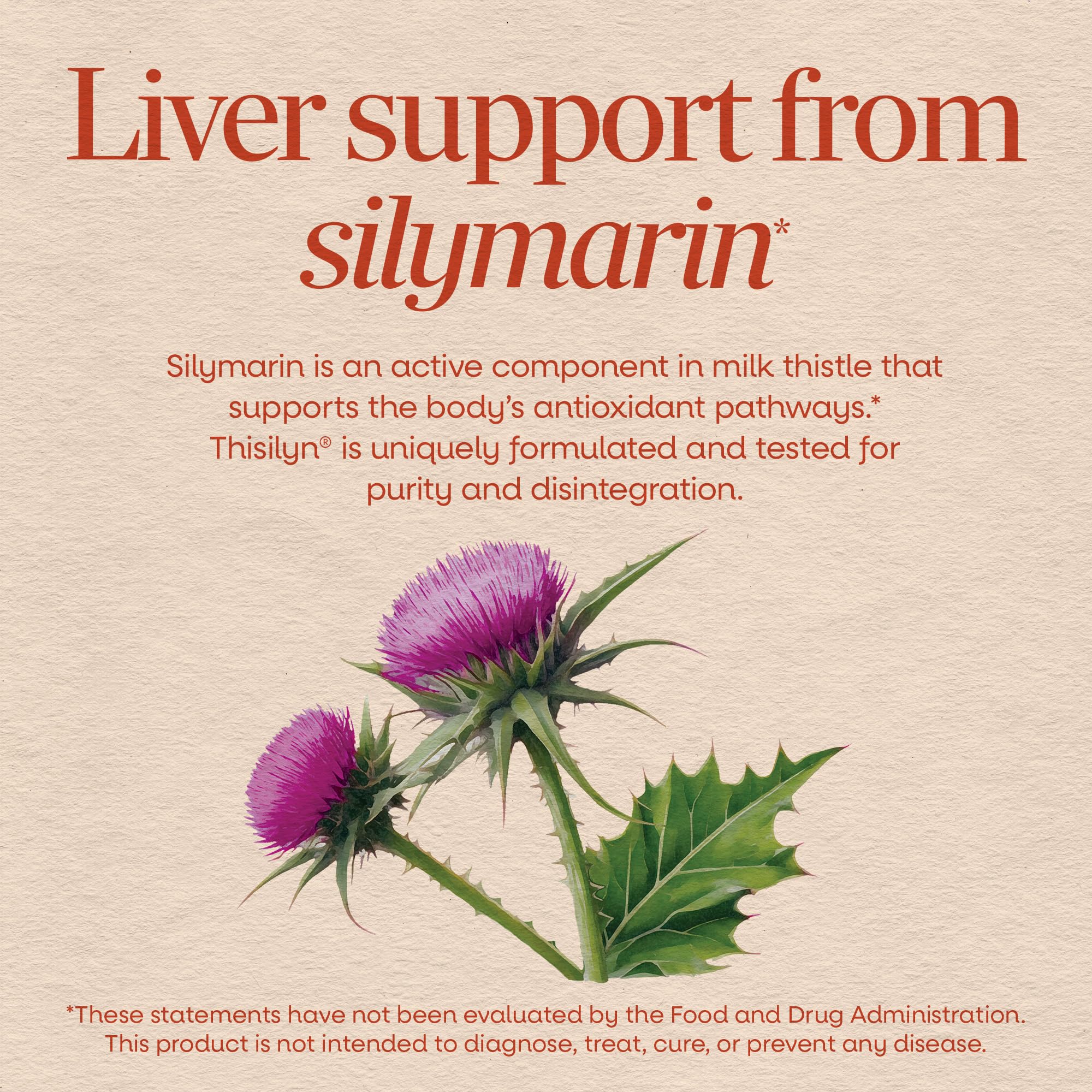 milk thistle for detoxification support