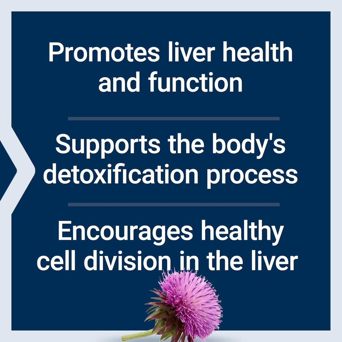milk thistle for detoxification