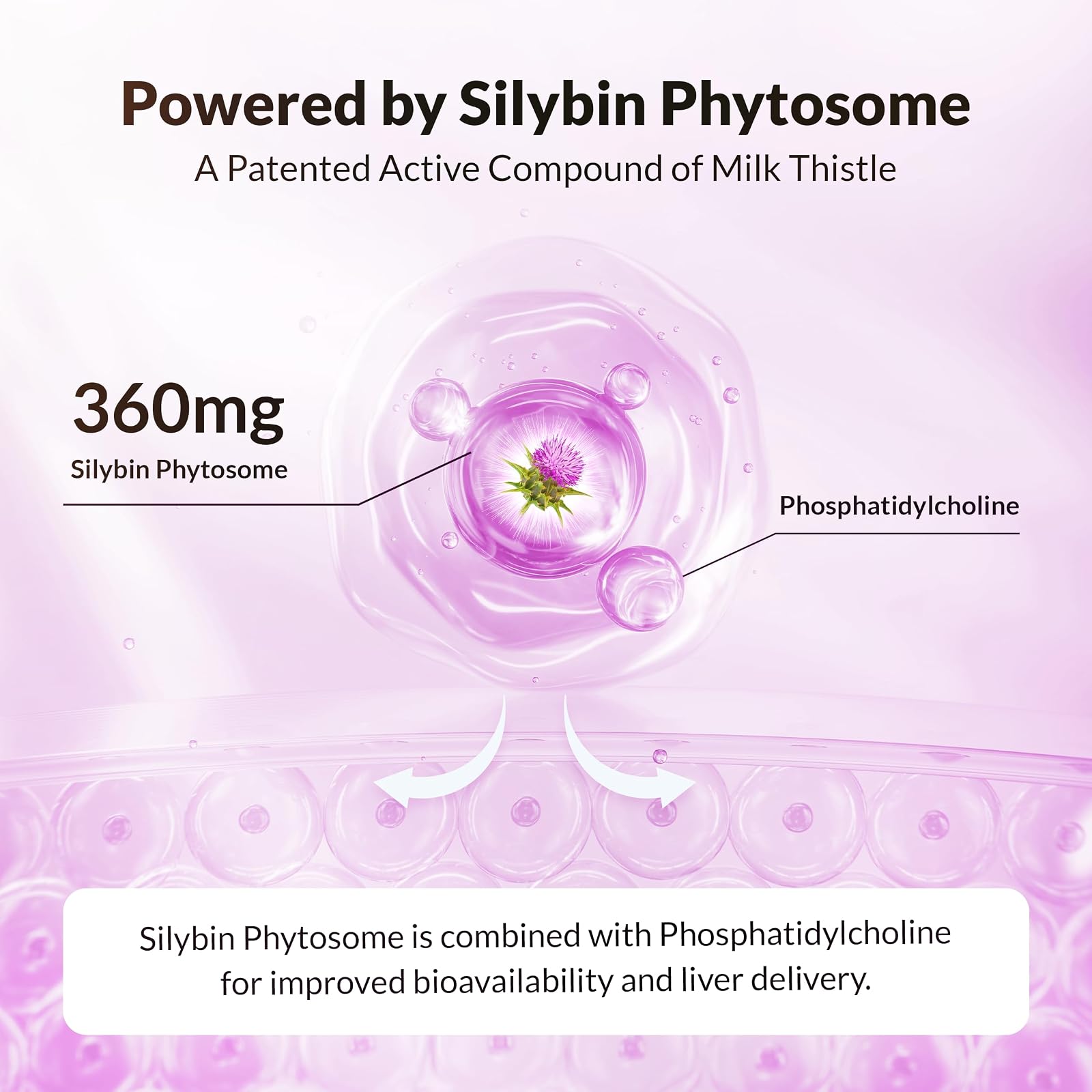 milk thistle for detoxification