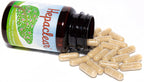 milk thistle for digestive health