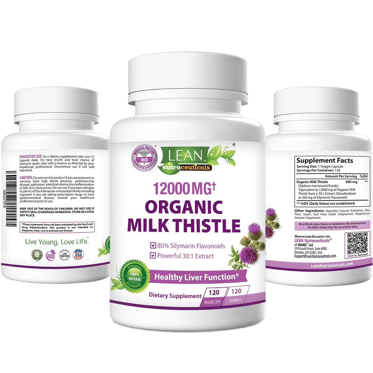 milk thistle for digestive health