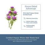 milk thistle for digestive health