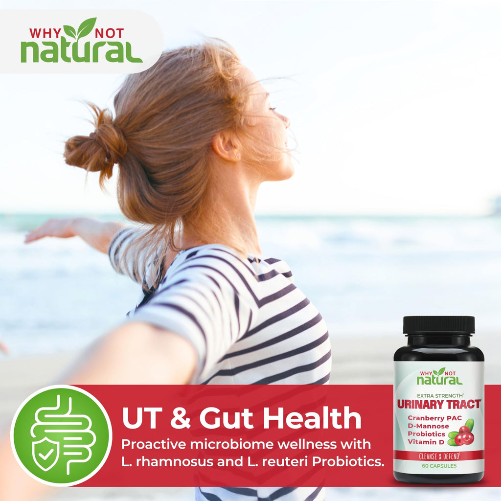 milk thistle for digestive support