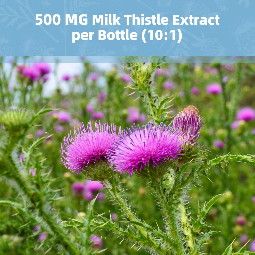 milk thistle for digestive support