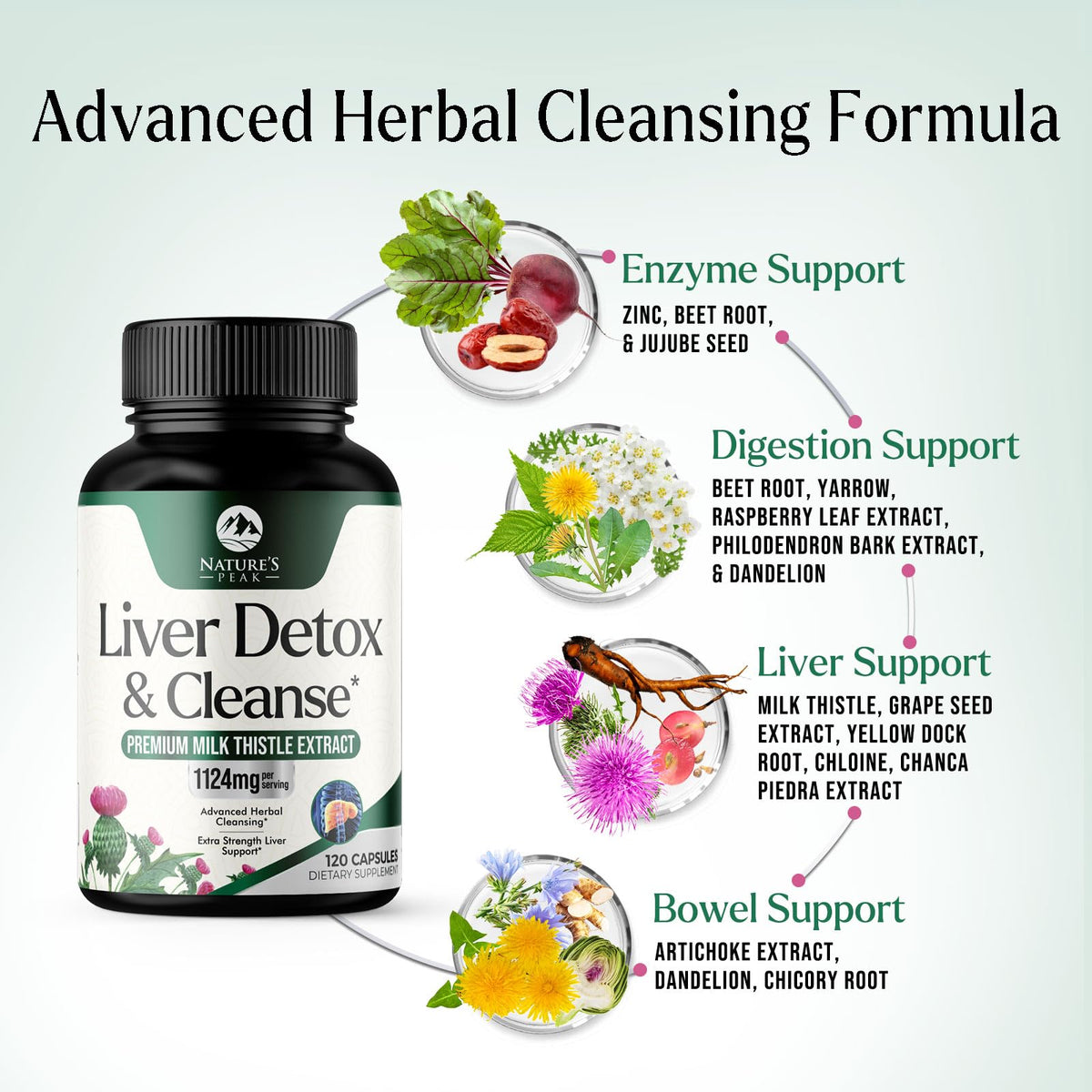 Milk Thistle for digestive support