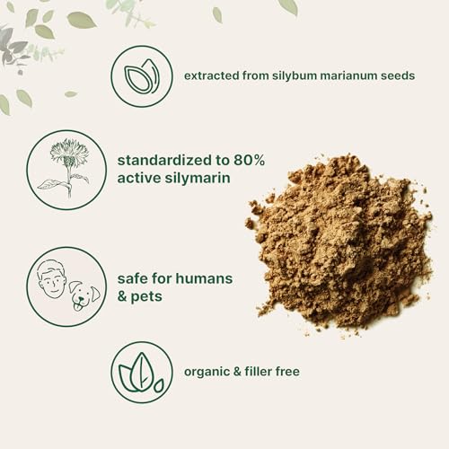 milk thistle for fatty liver health