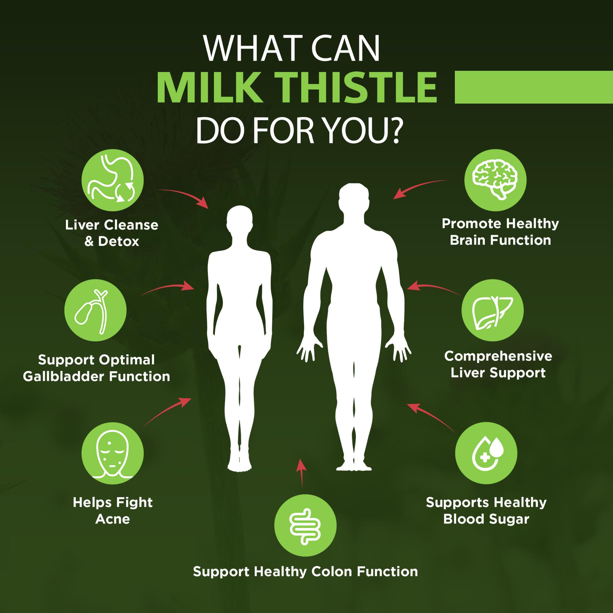 milk thistle for fatty liver support