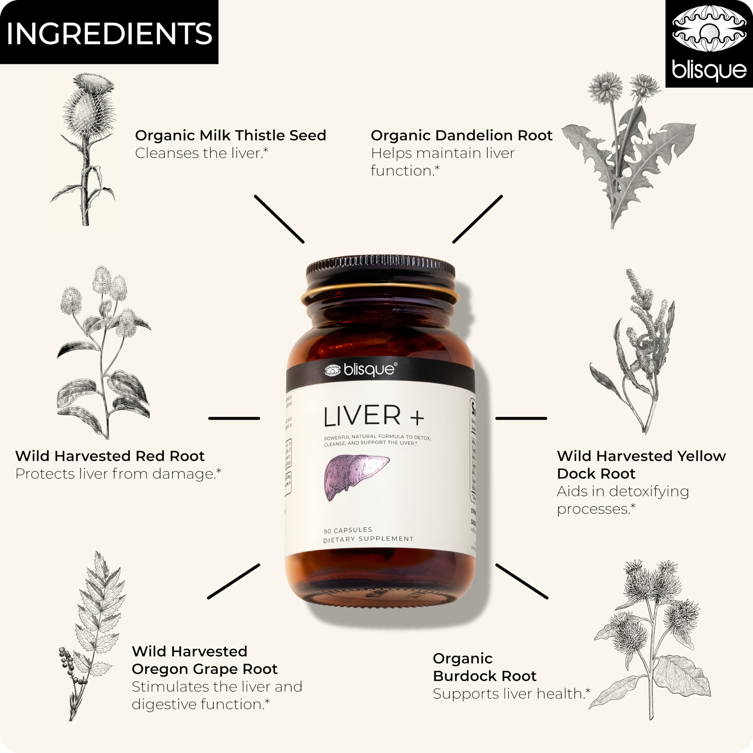 milk thistle for fatty liver support