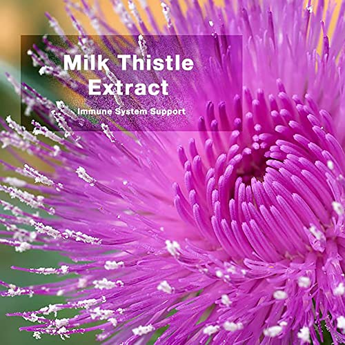 milk thistle for fatty liver support