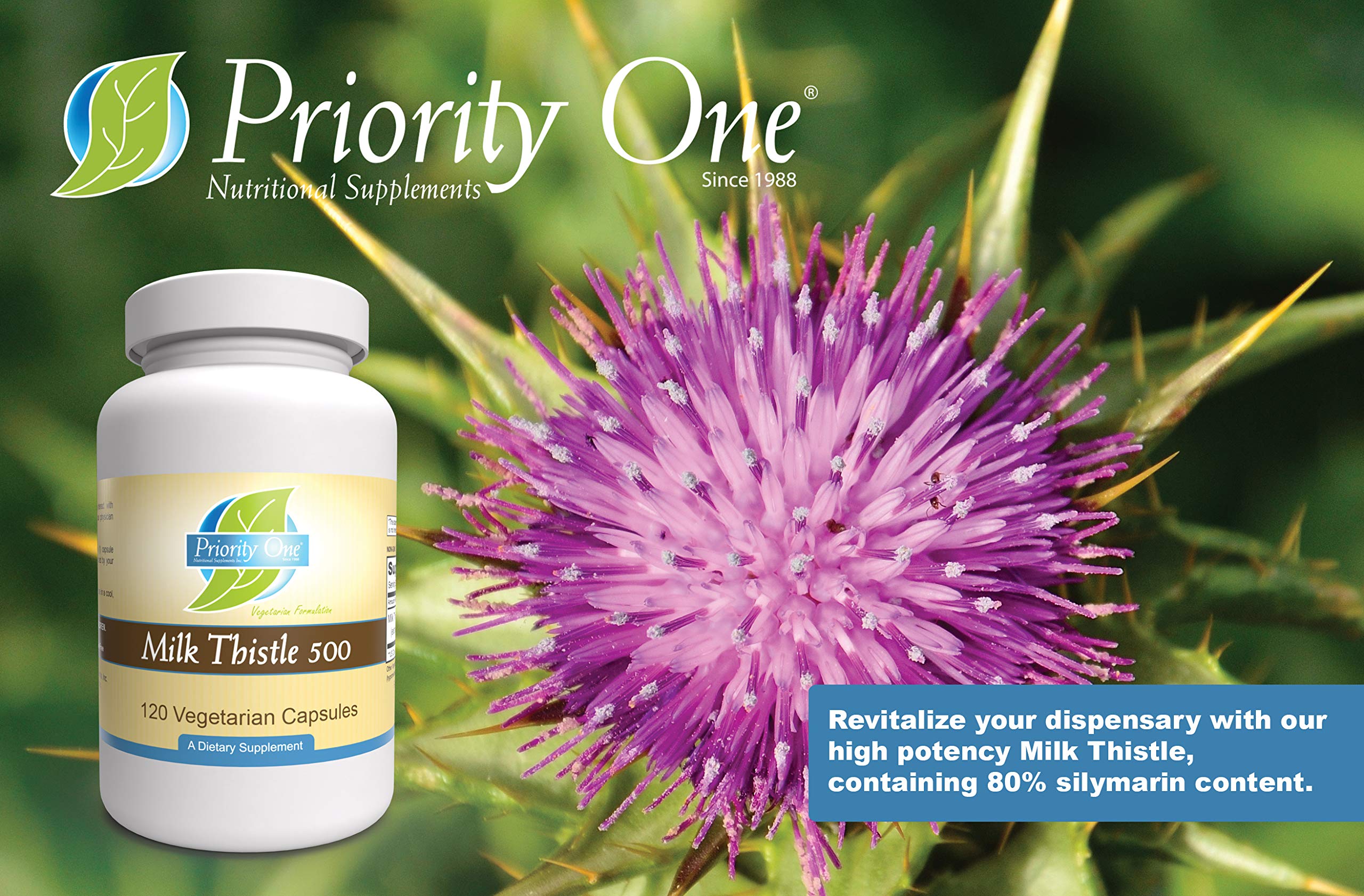 milk thistle for fatty liver