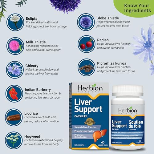 milk thistle for healthy liver detox