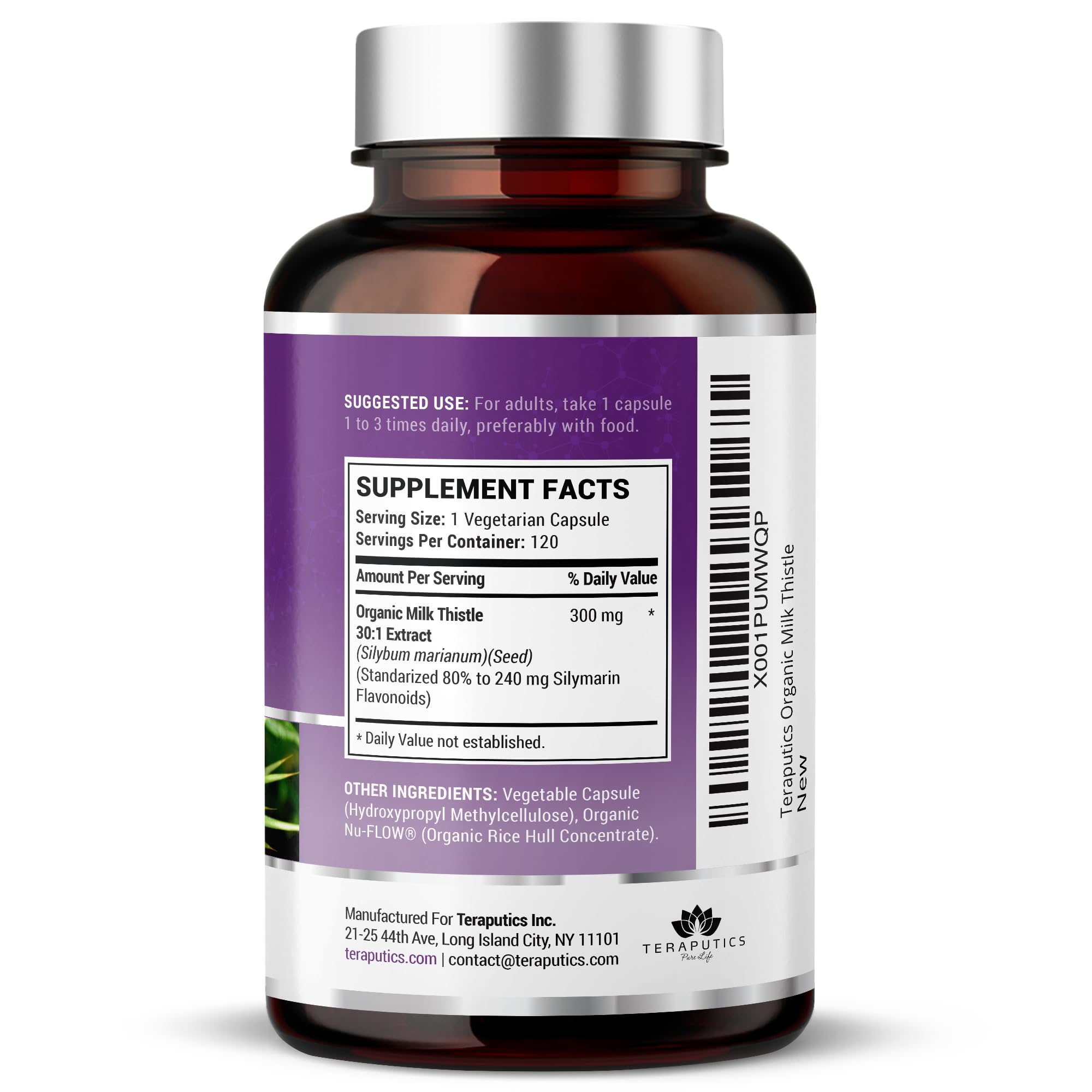 milk thistle for healthy liver function