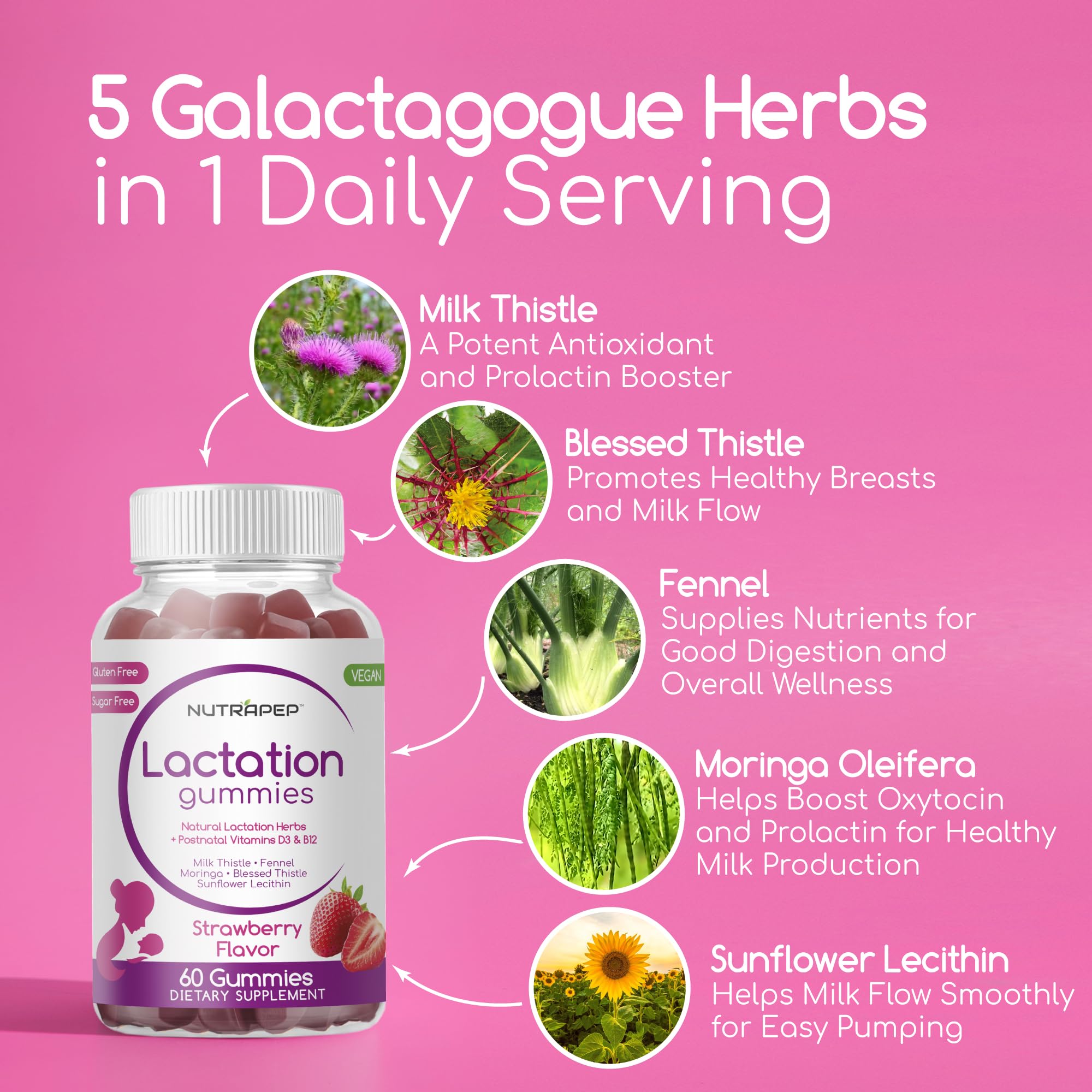 Milk thistle for liver health and lactation