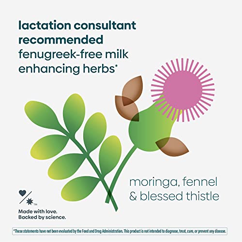 milk thistle for liver health support
