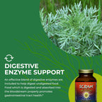 milk thistle for liver health