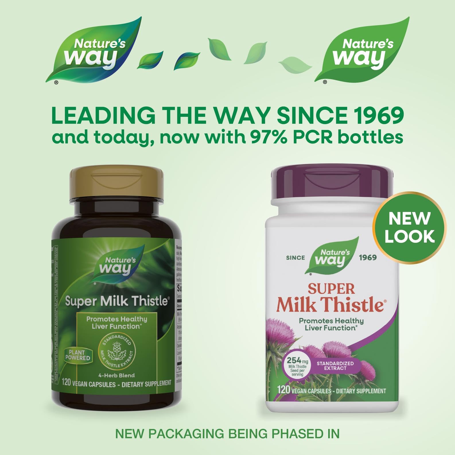 milk thistle for liver health