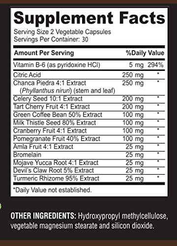 milk thistle for liver support
