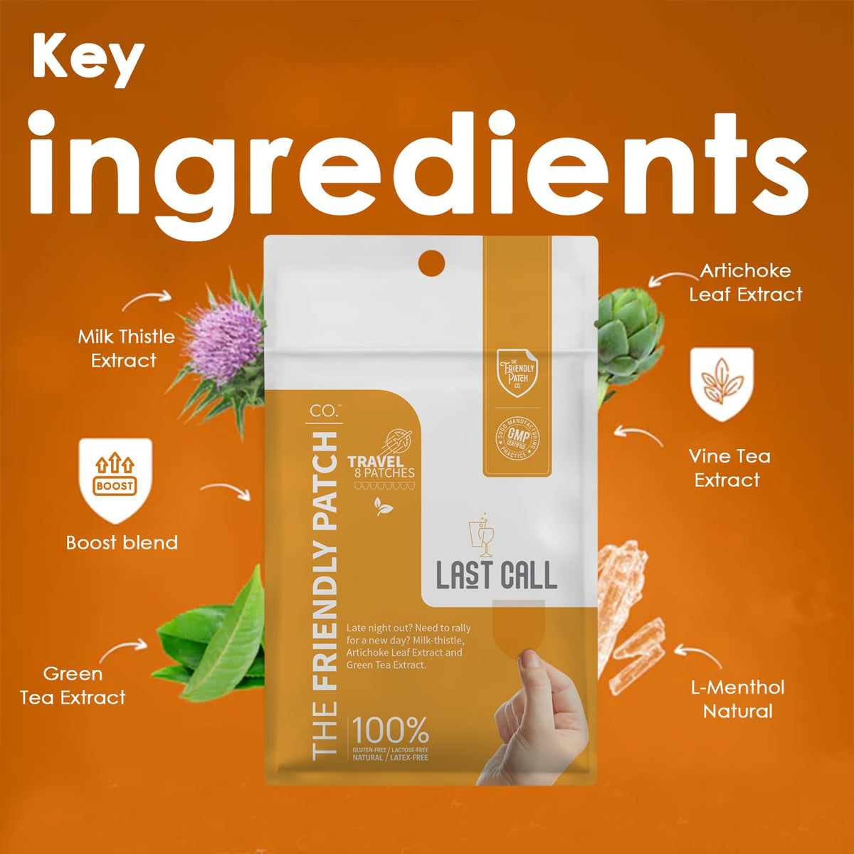 milk thistle for liver support