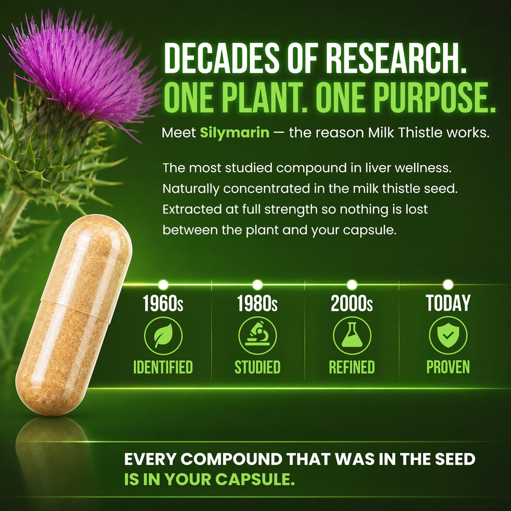 milk thistle for overall health