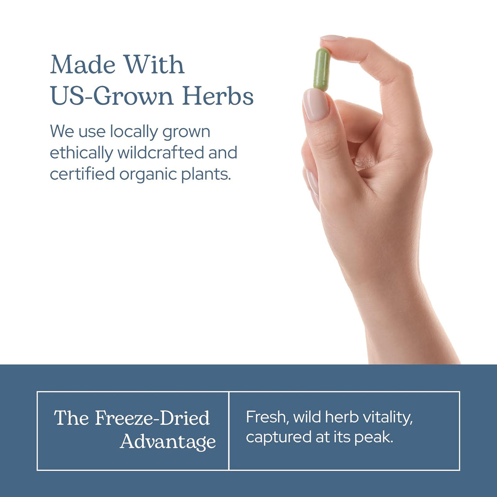 milk thistle for overall wellness