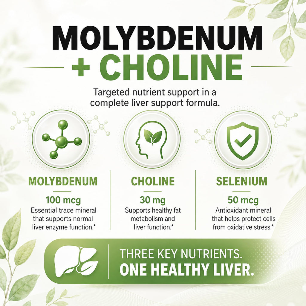 milk thistle for overall wellness