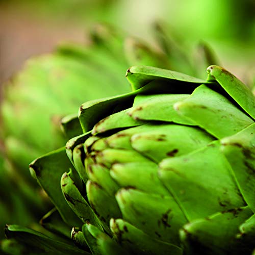 milk thistle formula for overall health