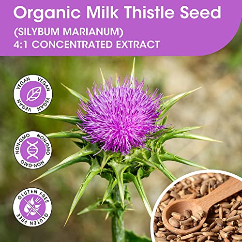 milk thistle gummies for overall health